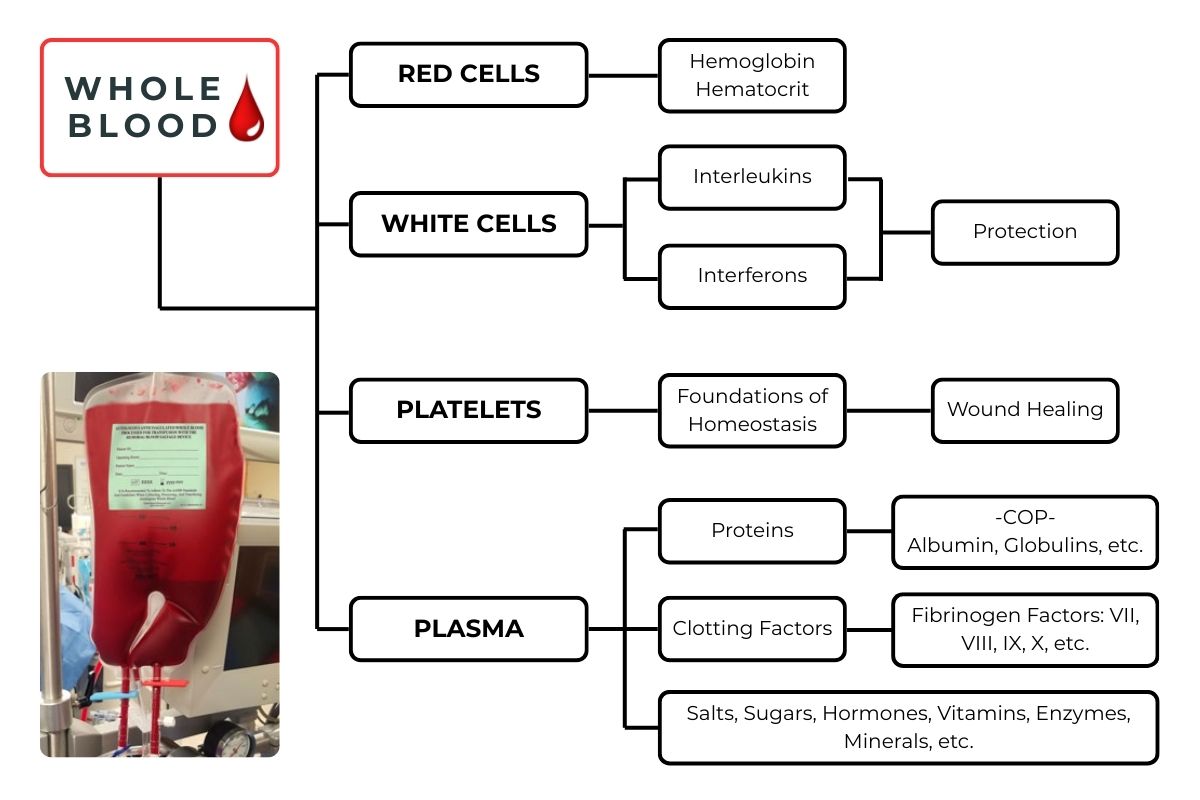 Hemobag® Whole Blood Recovery System | Global Blood Resources